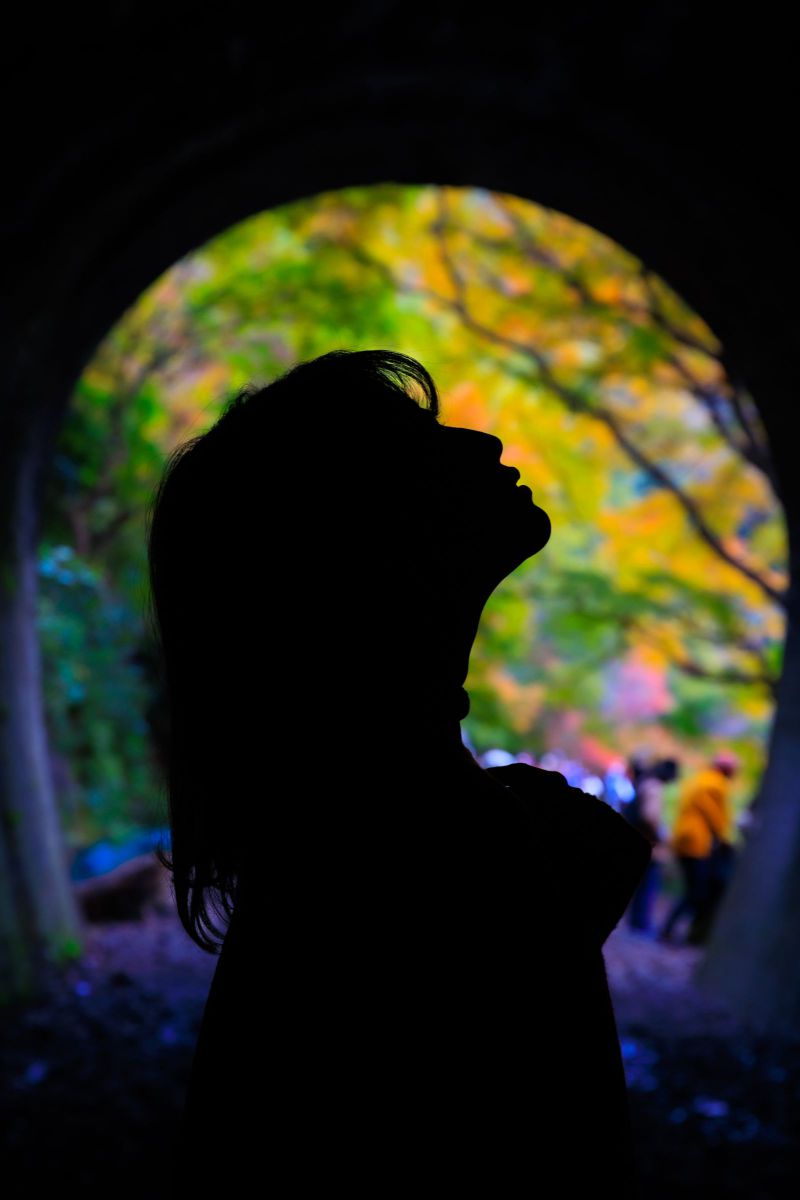 紅葉と美女のシルエット | GANREF