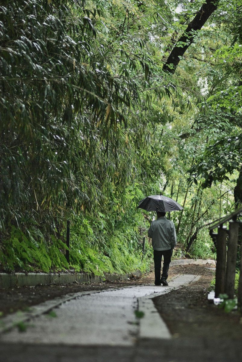 Walkin' in the rain forest | GANREF