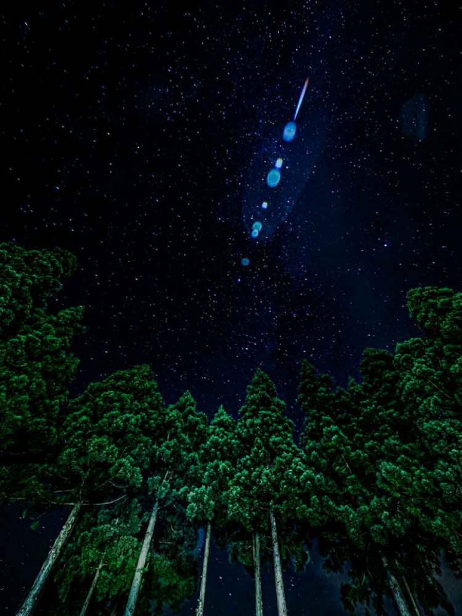 Starry night | GANREF