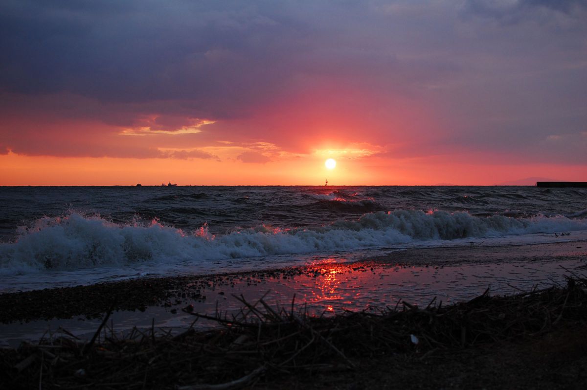 D40 デビュー | GANREF