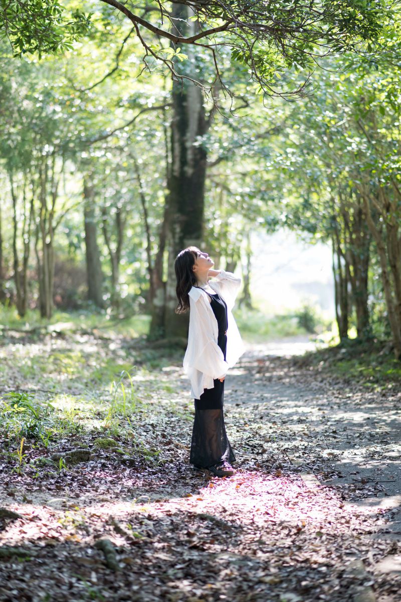 木漏れ日 | GANREF