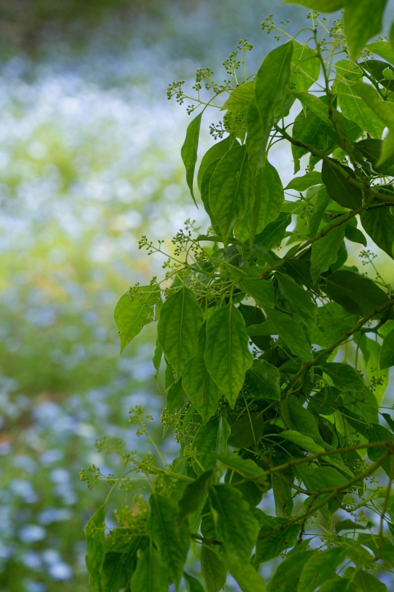 beautiful monday | GANREF