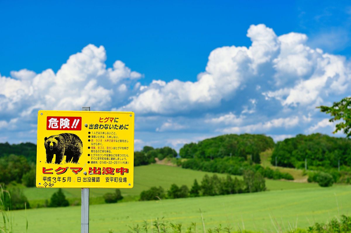 Danger Zone | GANREF