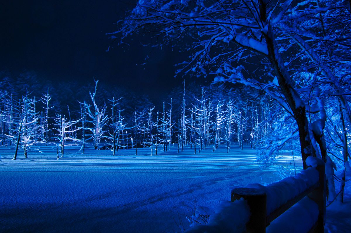 Winter Wonderland | GANREF