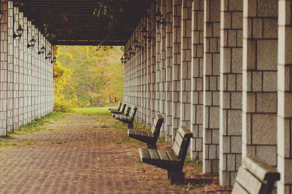 秋のcorridor | GANREF