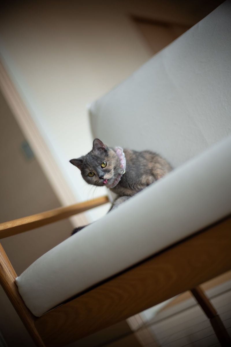 舌のしまい忘れ（次女） | GANREF