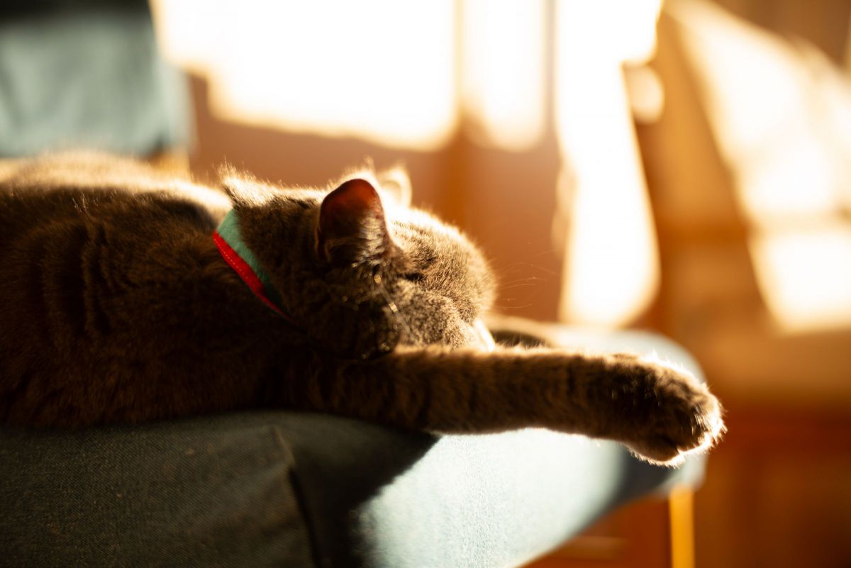 この日を迎えられた幸せ（長男） | GANREF