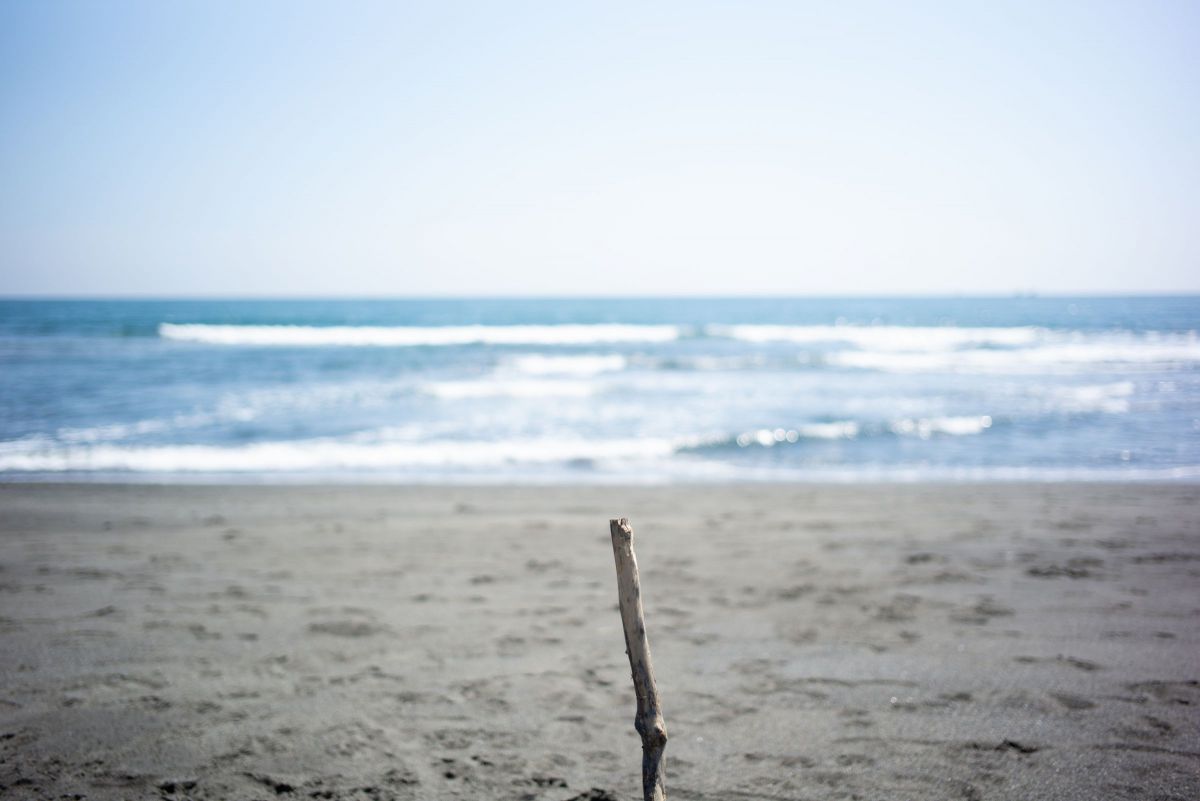 誓い（湘南にて） | GANREF