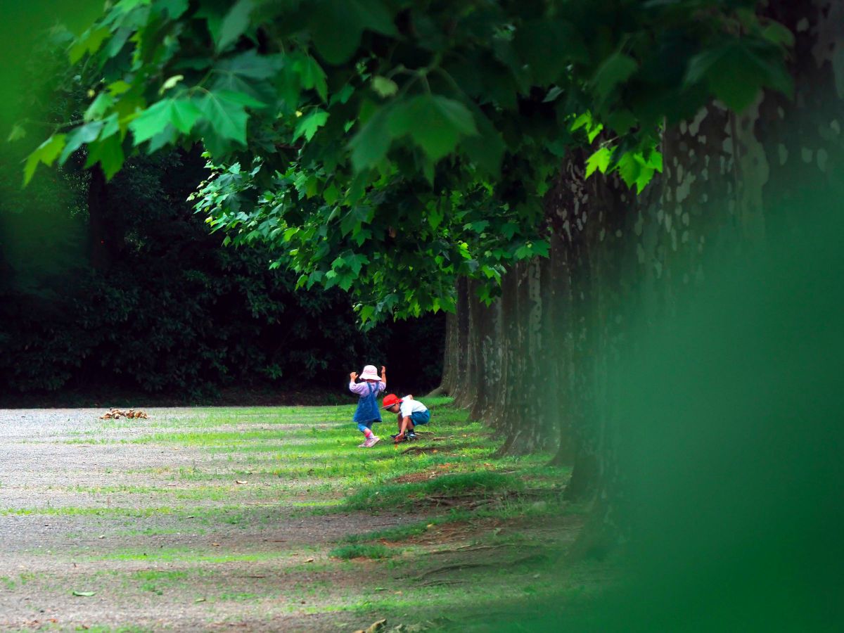 First of May | GANREF