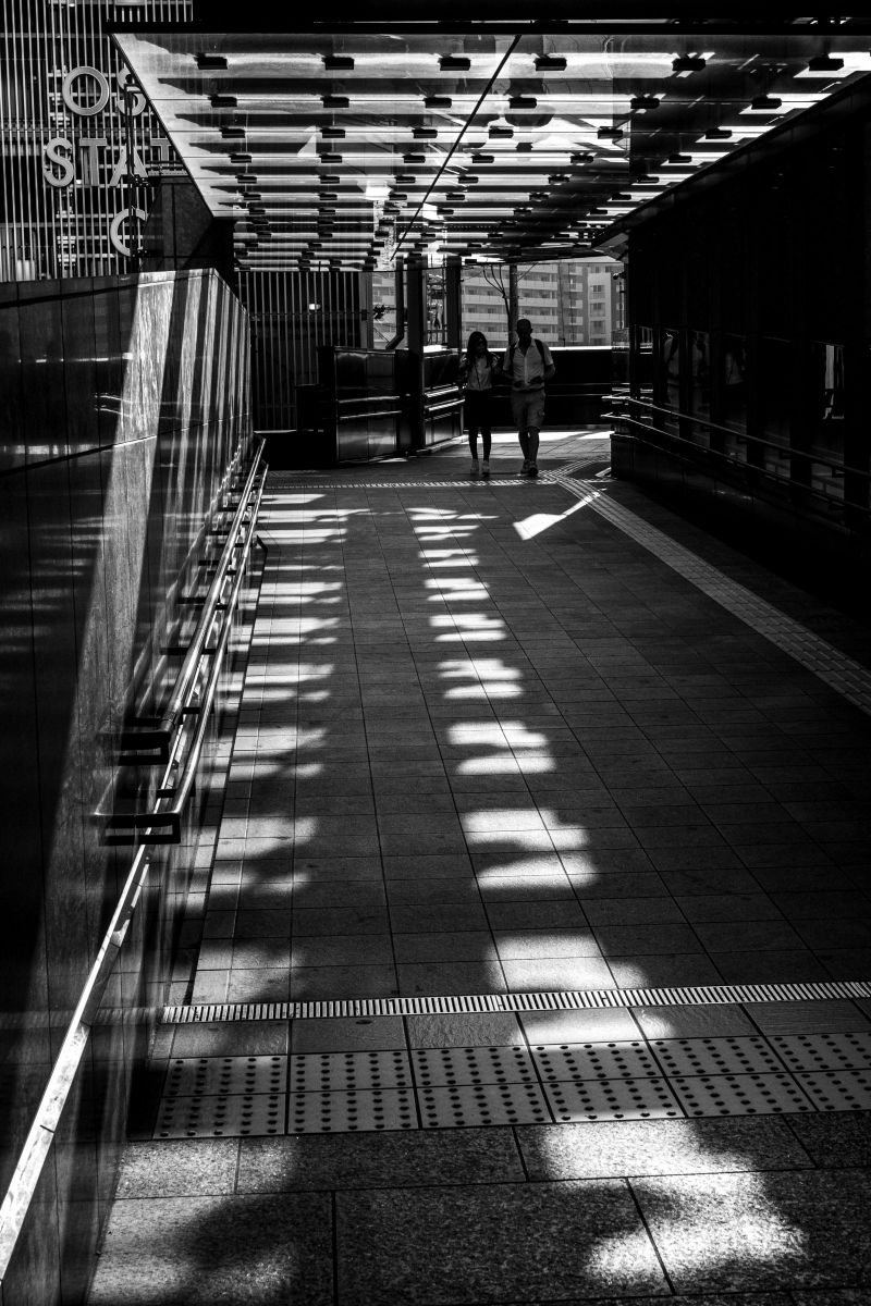 記憶の残像 51 | GANREF