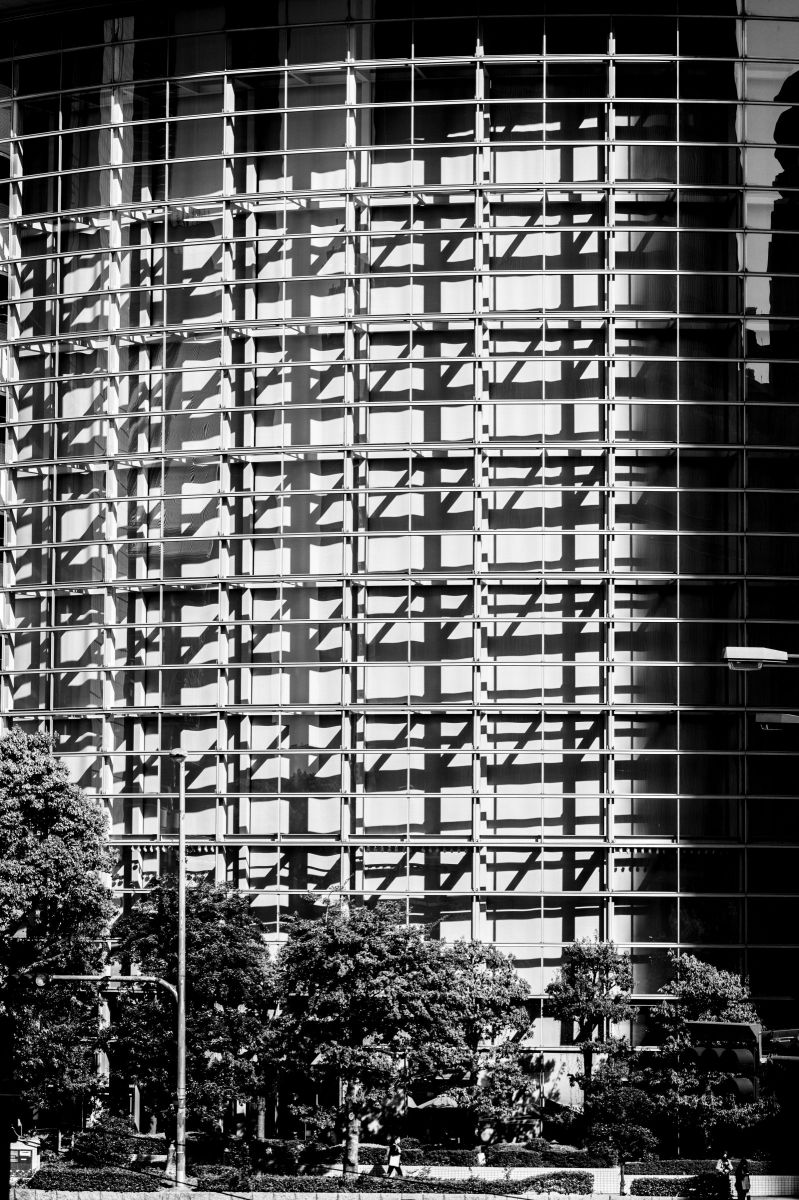 Z、Z、Z、Z、Z | GANREF