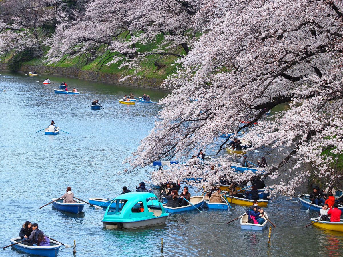 ここで一枚 | GANREF