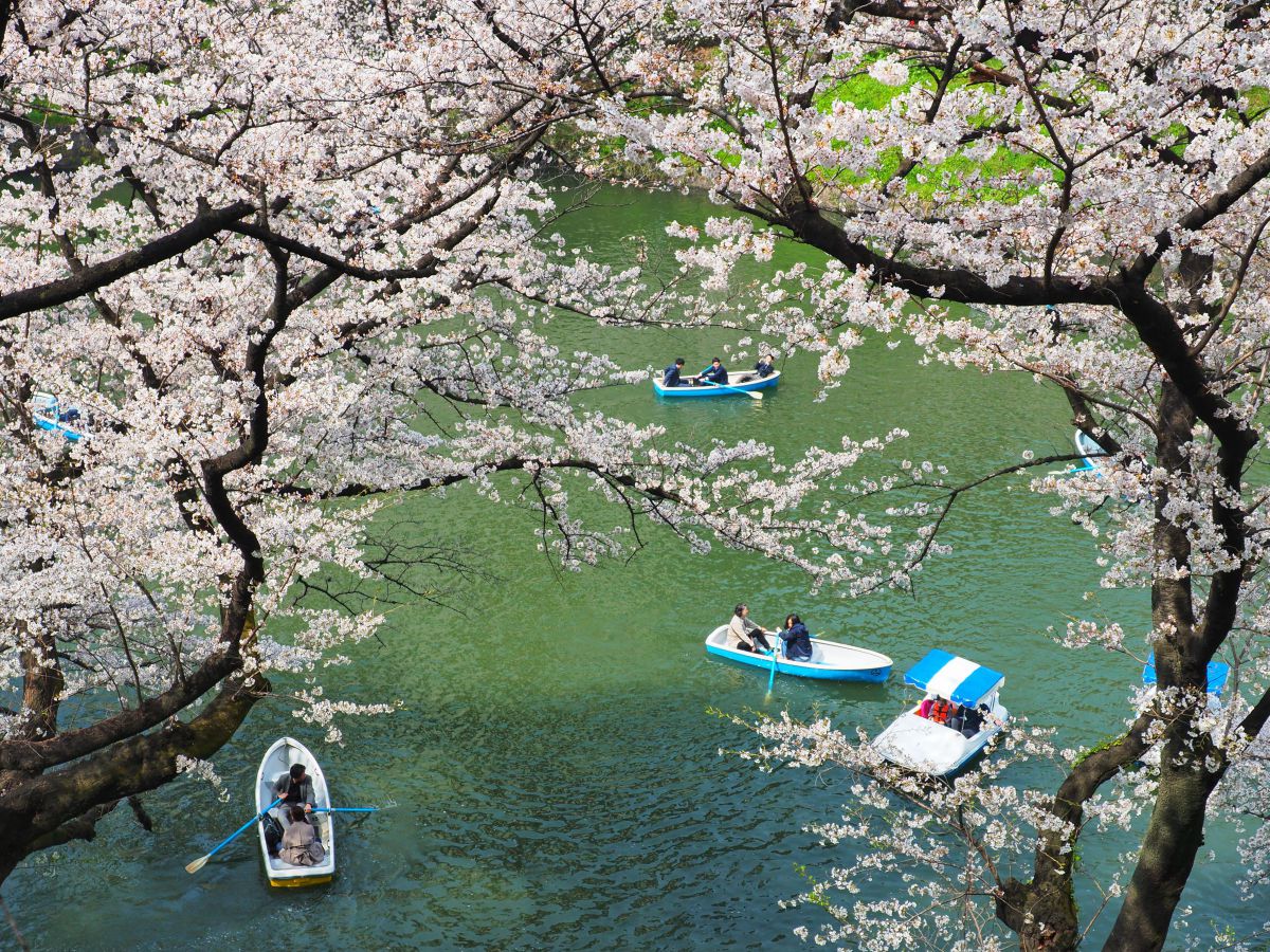 ボートは楽しい | GANREF