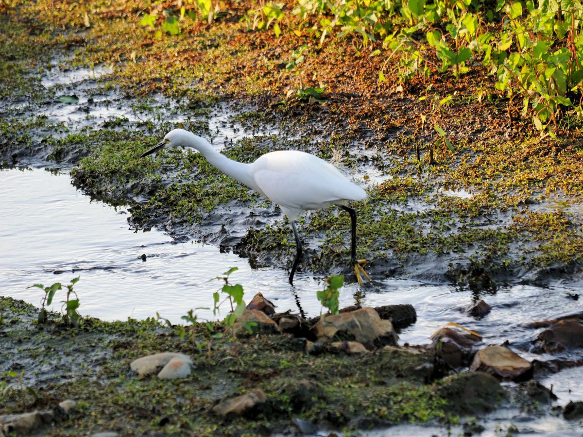 のぞき込む | GANREF