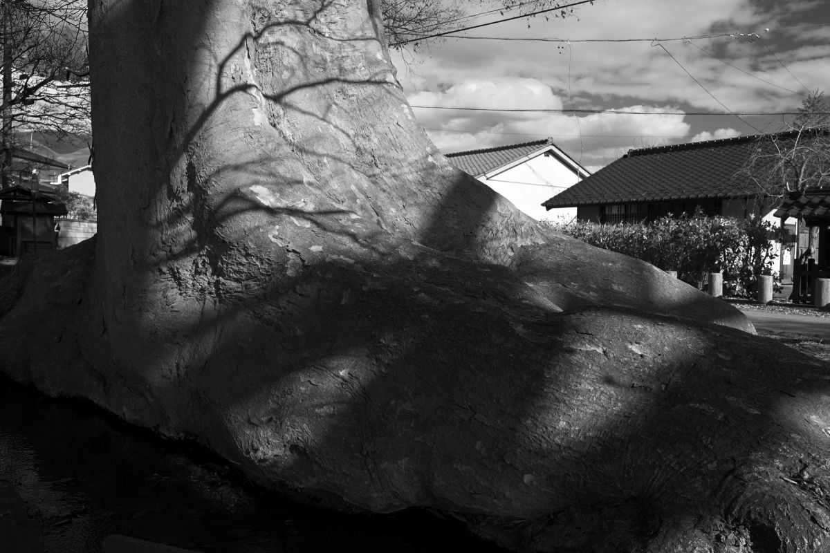 180度開脚 | GANREF