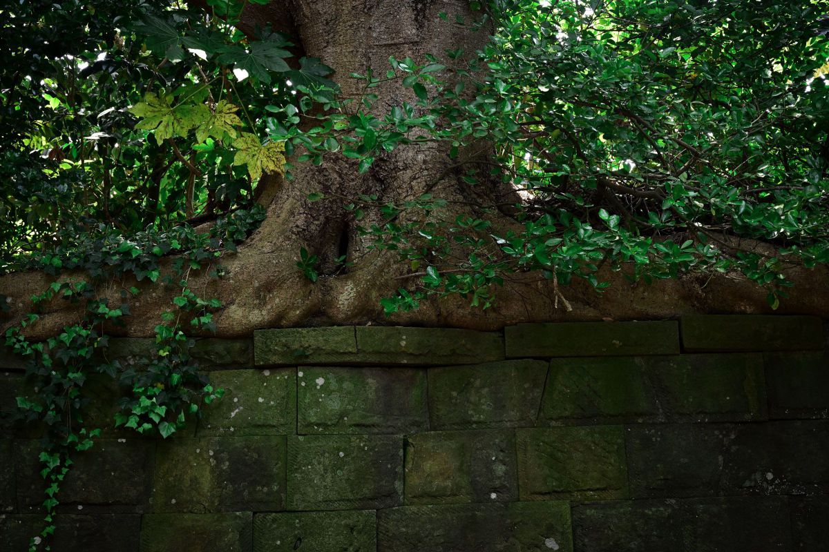 180度開脚 | GANREF