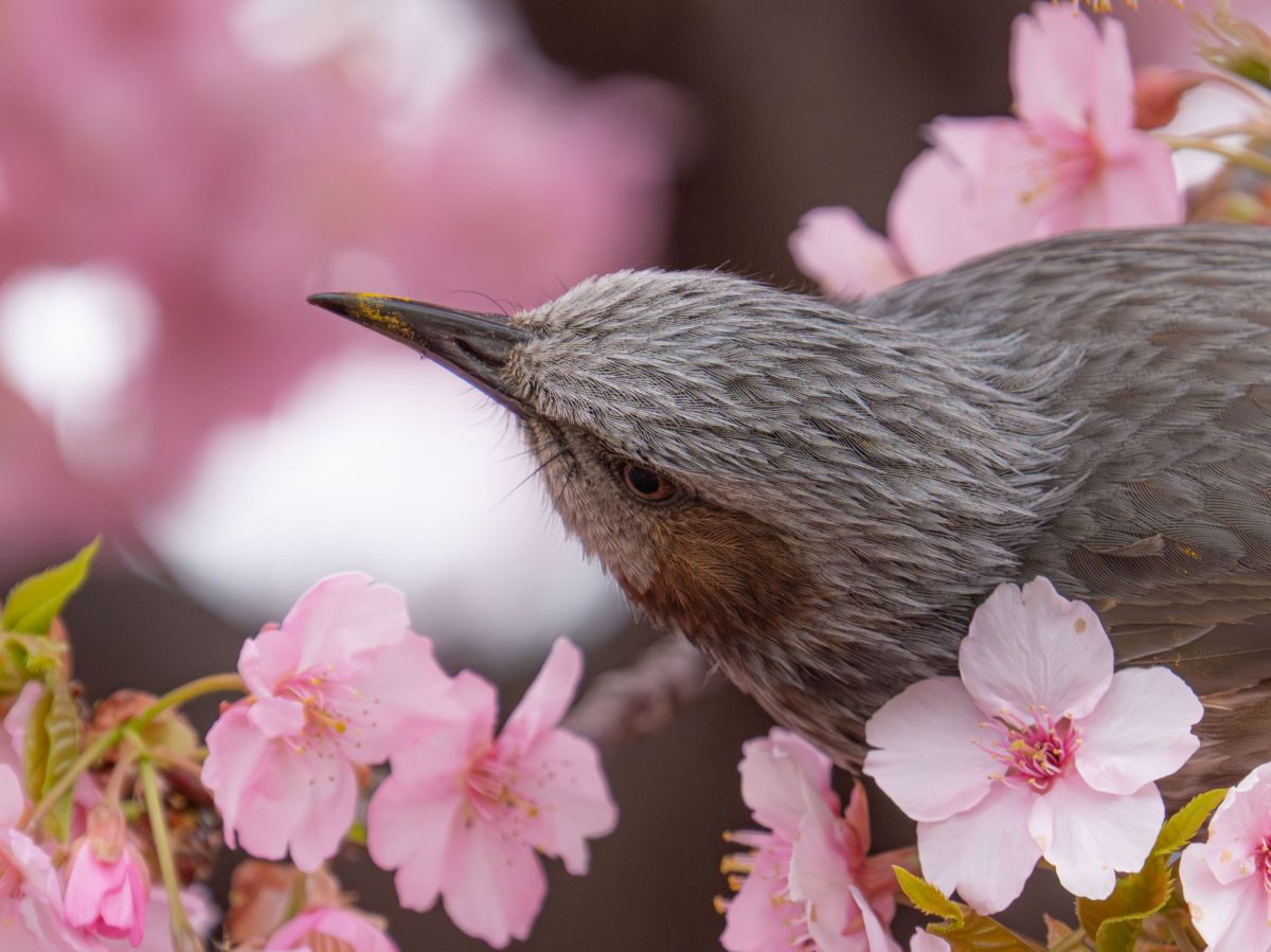 Re-独り占め | GANREF