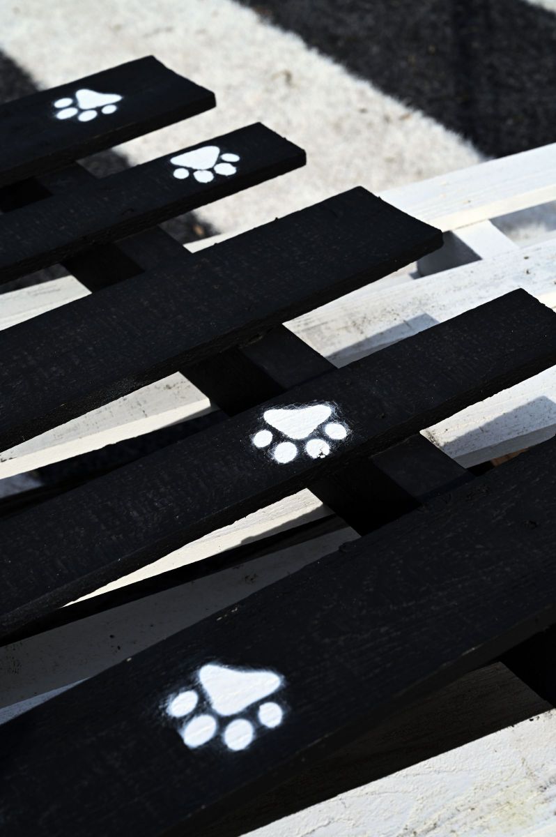 Cool Struttin' | GANREF