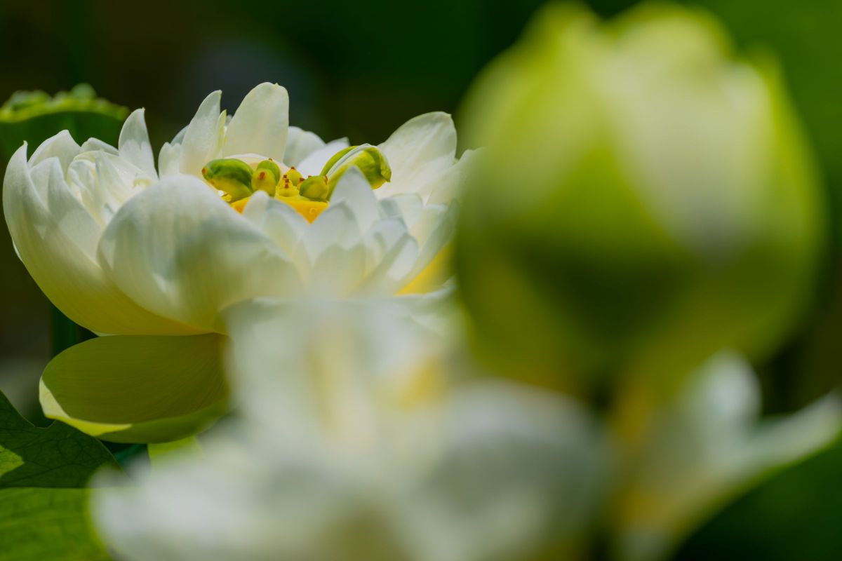 密集、🏠🈵🈵 | GANREF