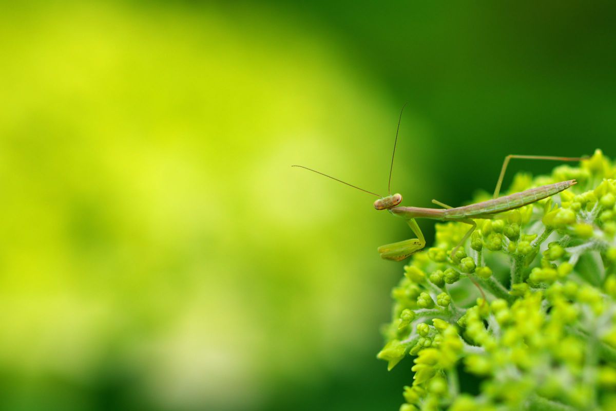 目と目が合ったその瞬間、👀👁️👁️‍🗨️ | GANREF