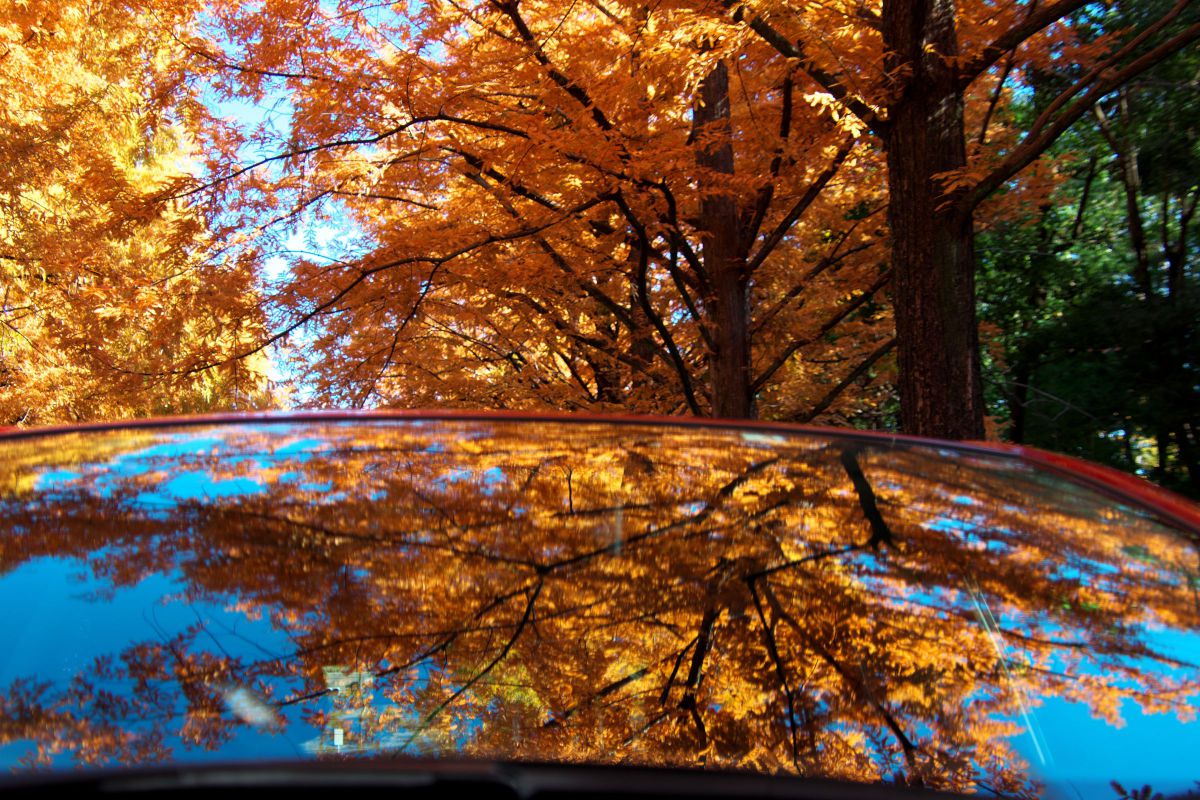 映り込み、👻👻👻 | GANREF