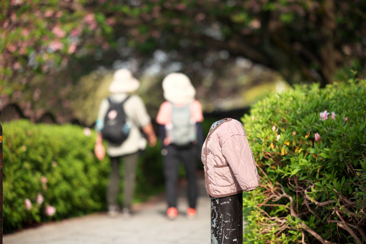 今の見た、👻👻👻 | GANREF