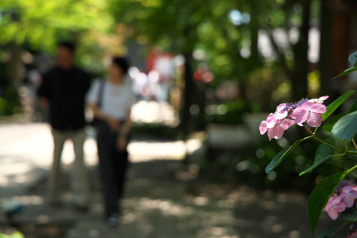 あれっ！家の娘だ！、😕😖😕 | GANREF