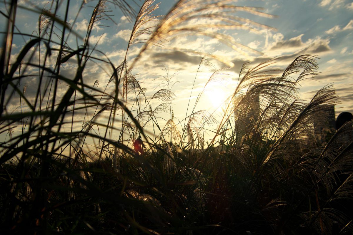 遅刻しそう、⏰⌛⏲️ | GANREF