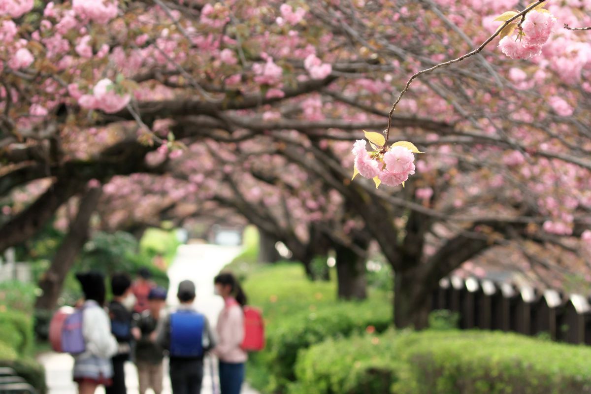 報連相?👨‍💼👩‍💼👨‍💼 | GANREF