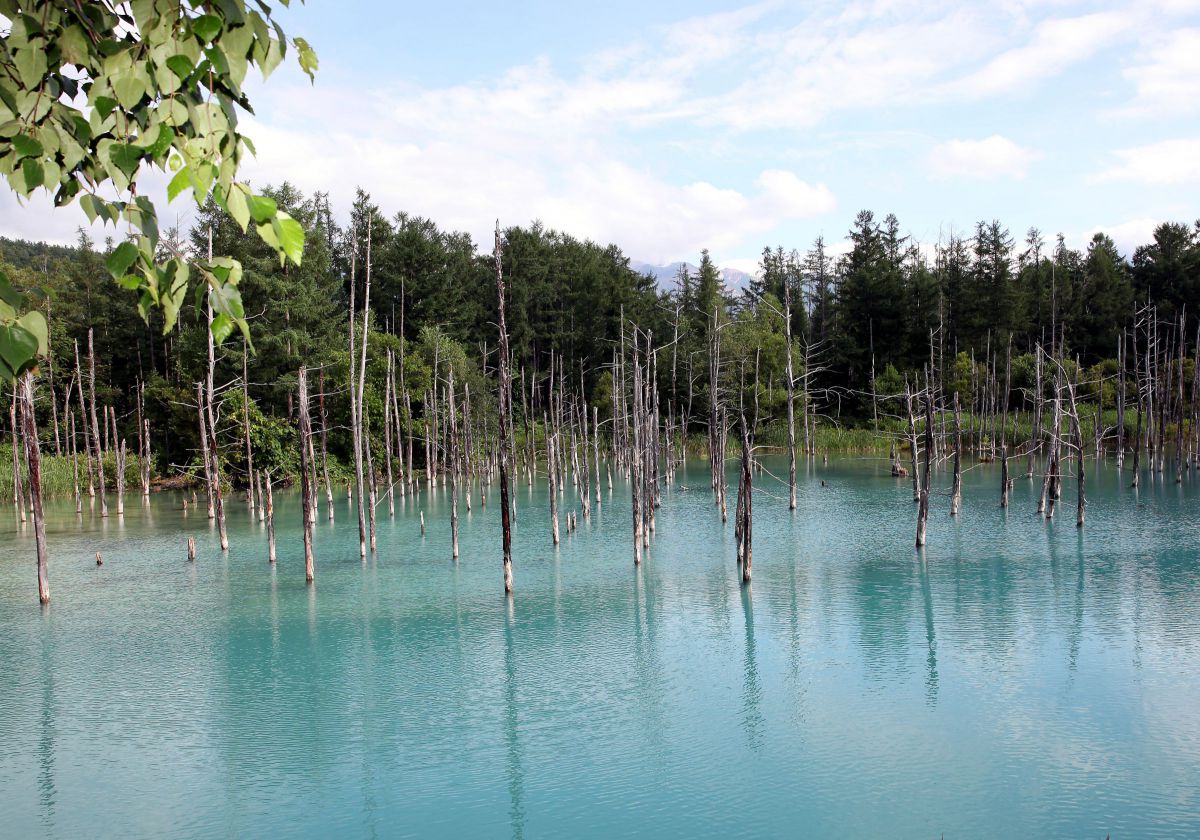 夏ブルー | GANREF