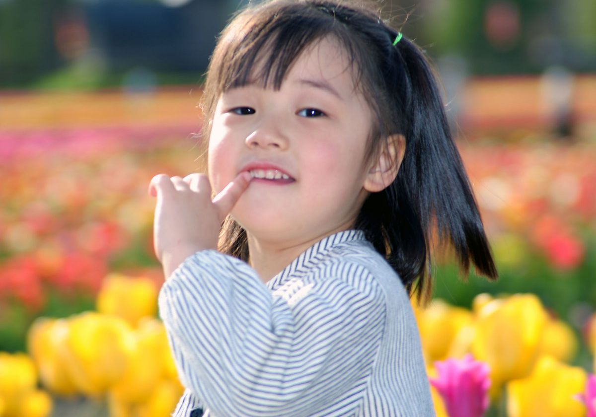 花園のあまえんぼう | GANREF