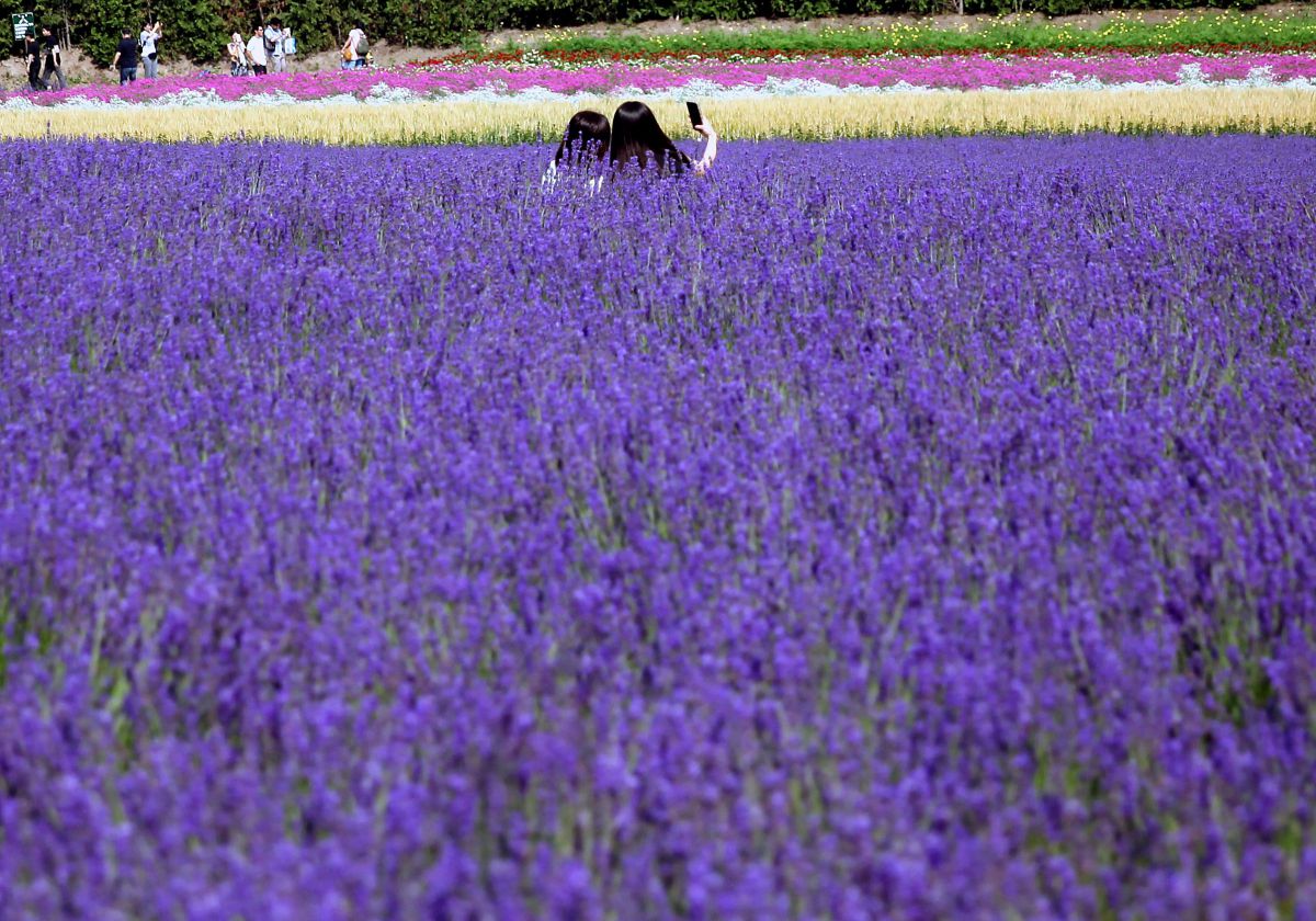 最近の記念撮影は自撮り | GANREF