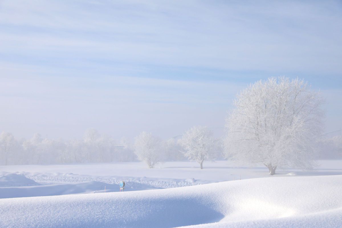 マイナス20度の朝 | GANREF