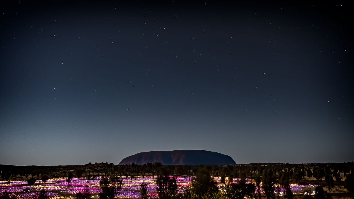 エアーズロック Field of Light | GANREF