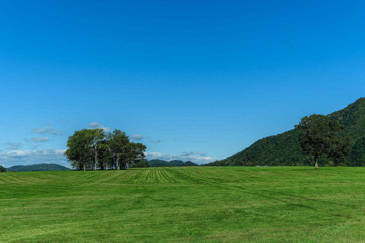 緑の大地 | GANREF