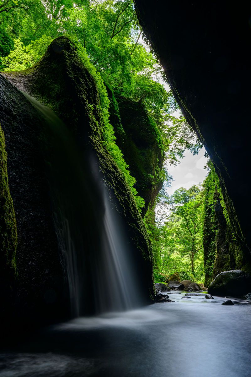 シワガラの滝 | GANREF