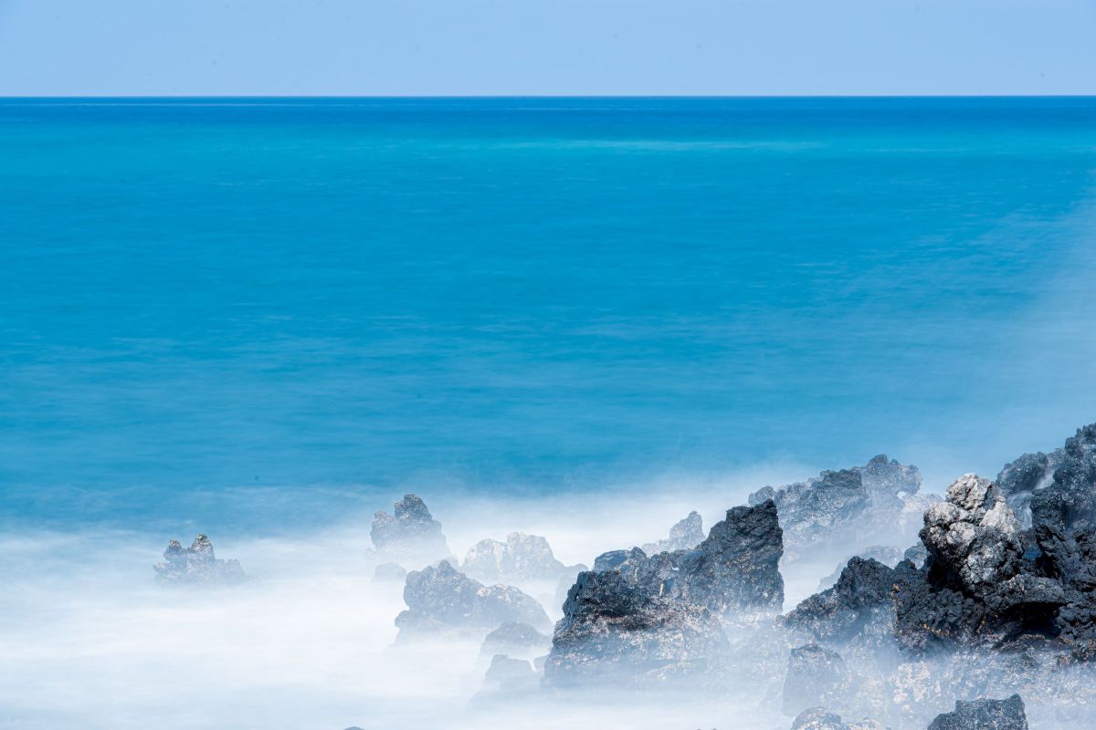 Pacific Blue | GANREF