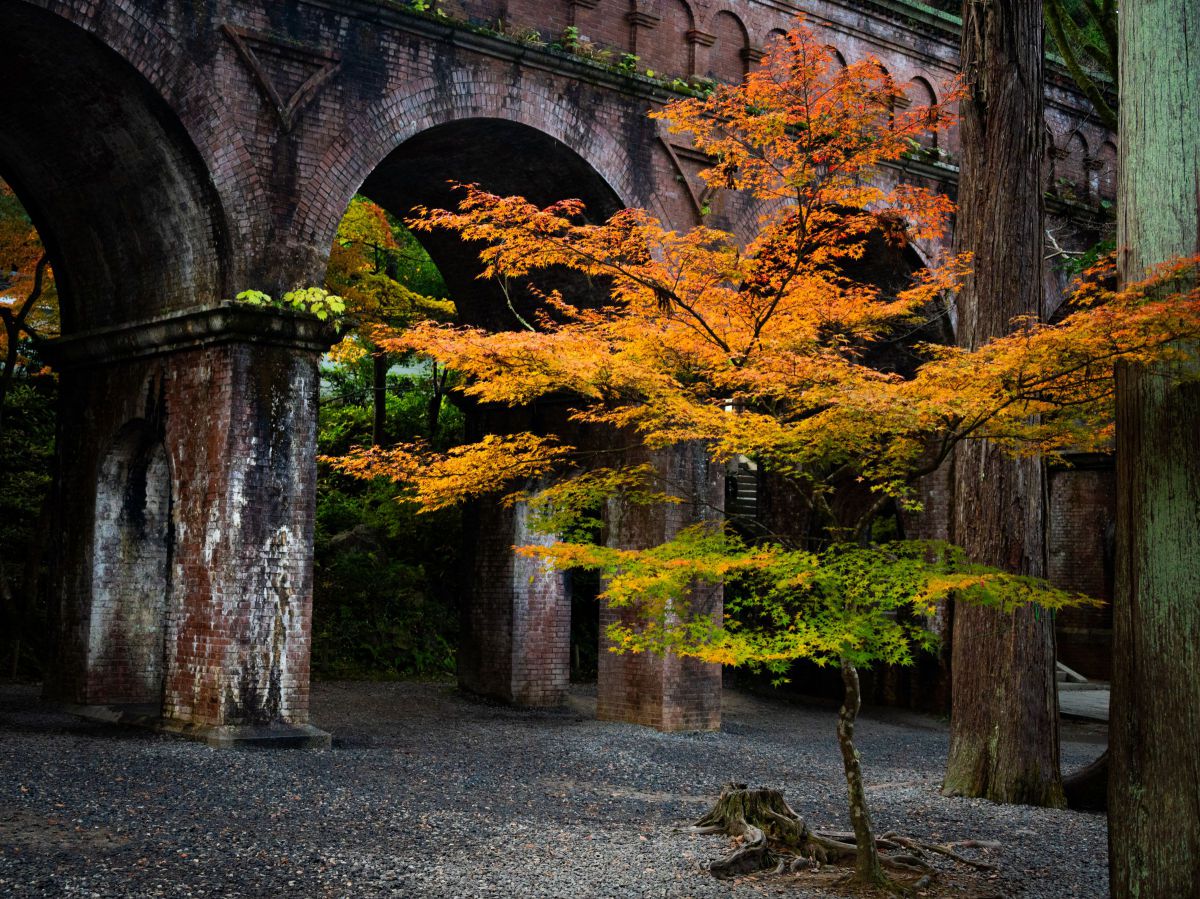 コントラスト | GANREF