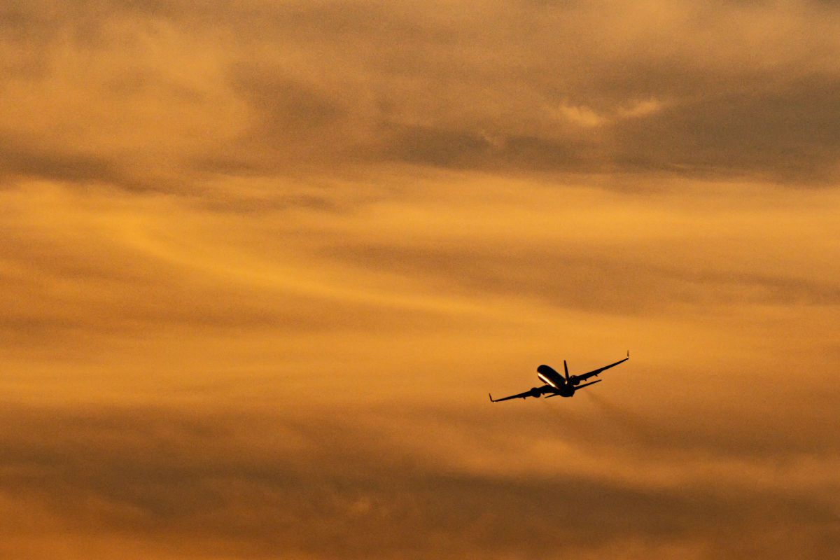 Light & Shadow | GANREF