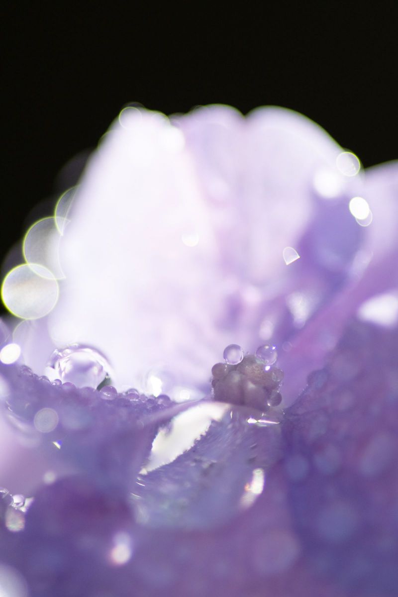 Small world | GANREF