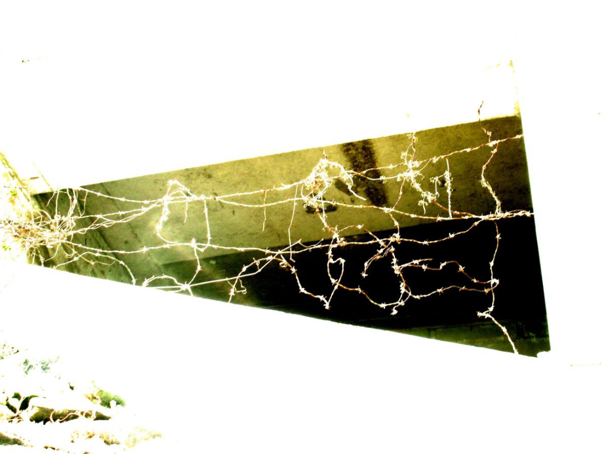 under sunshine (barbed wire) | GANREF