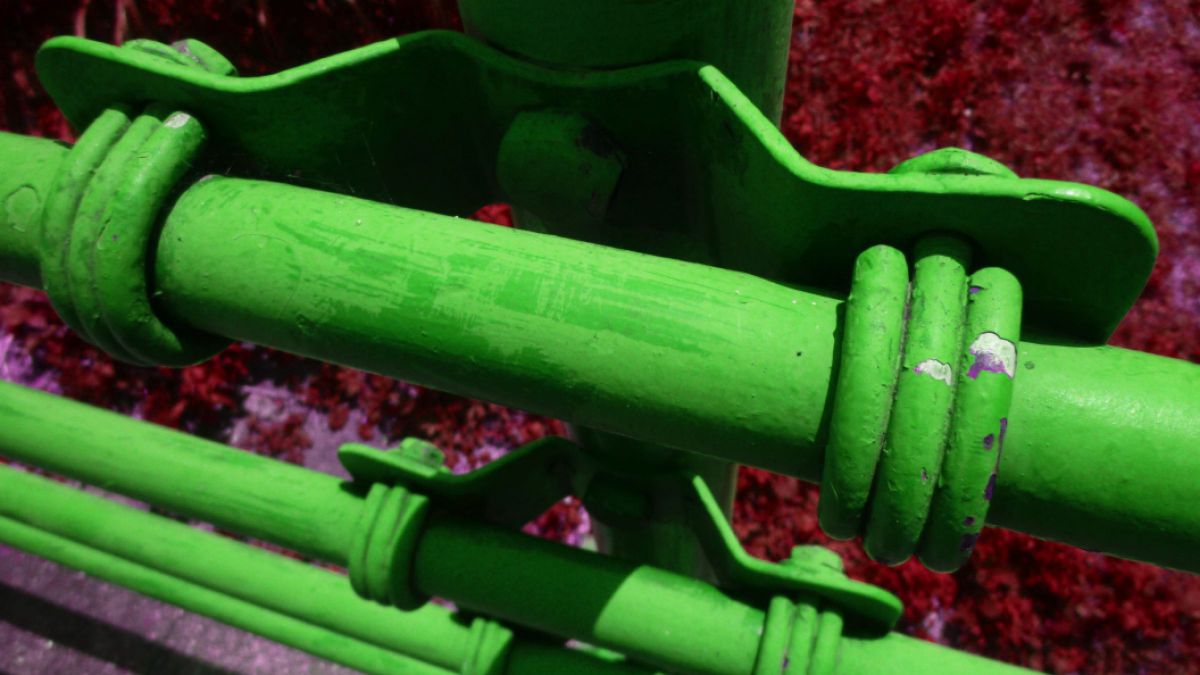 colors (light green with dark red) | GANREF