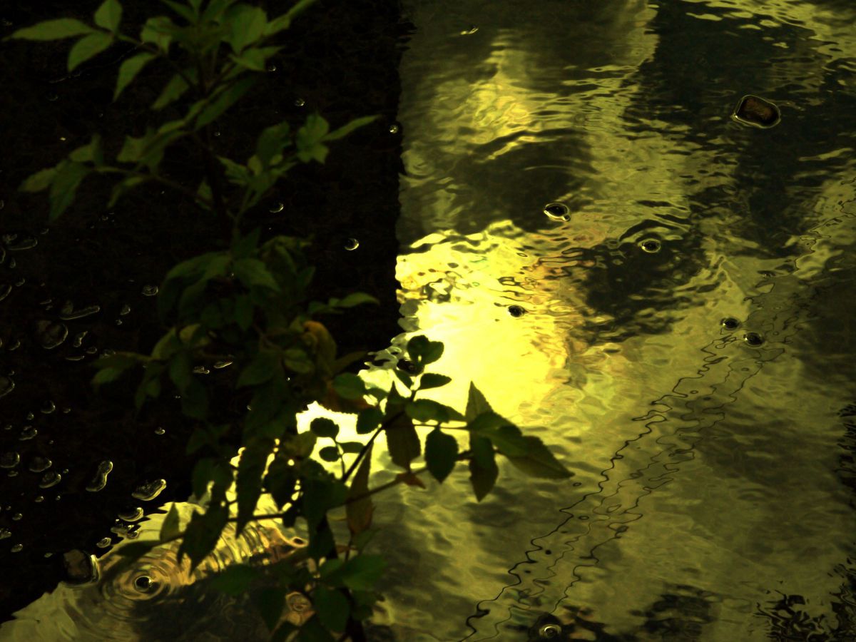 yellow retouched water with reflection | GANREF