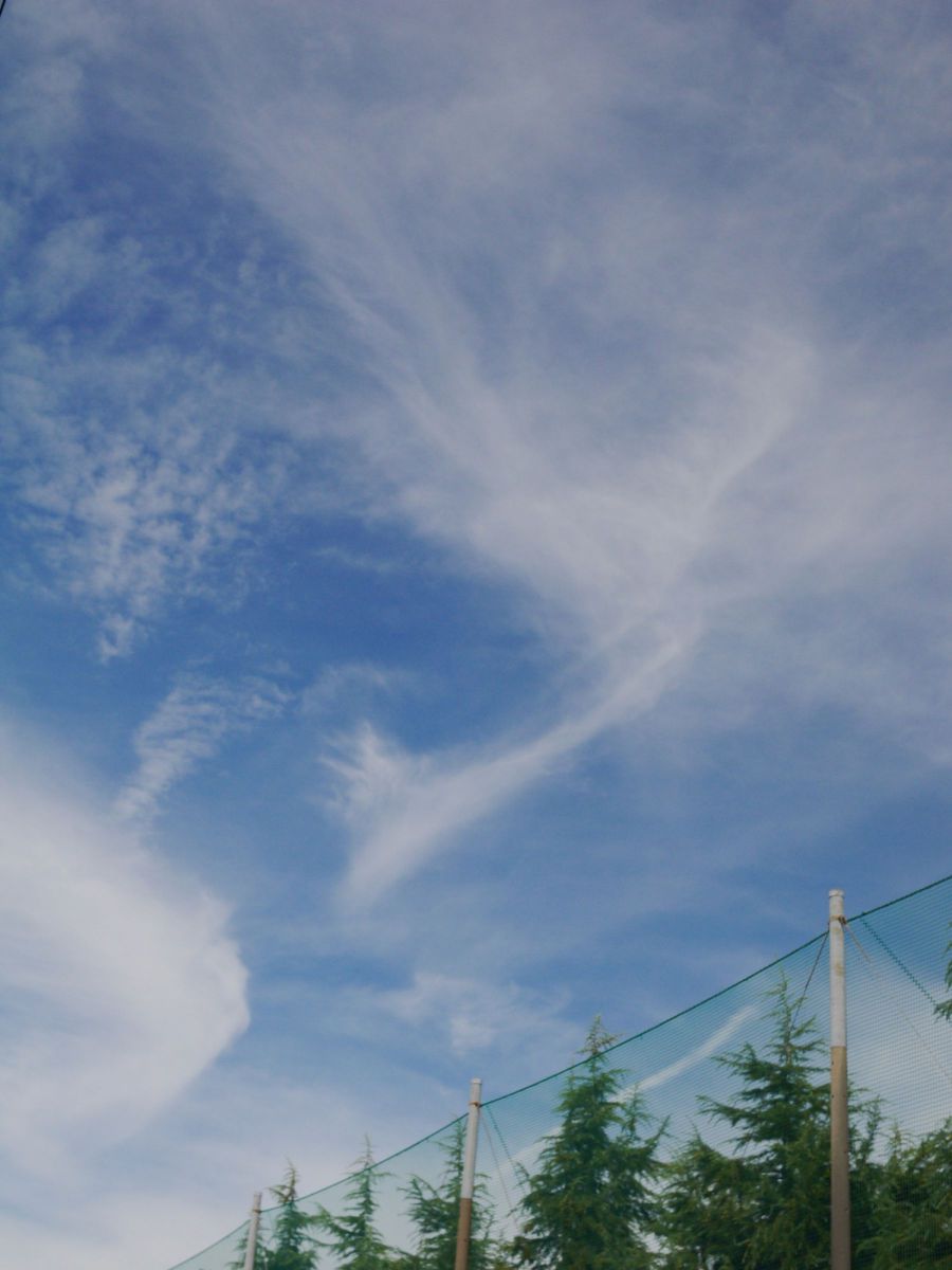 lively (clouds in the sky) | GANREF