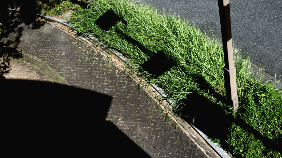 summer shadow on the path and grass | GANREF