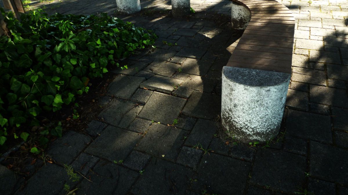 light and shadow on the broken pavement | GANREF