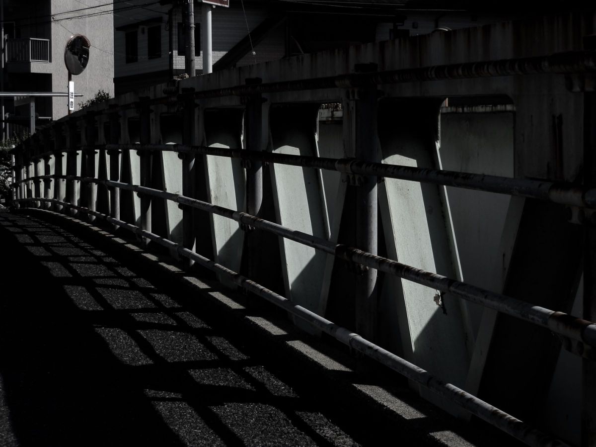 light and shadow (on the bridge) | GANREF