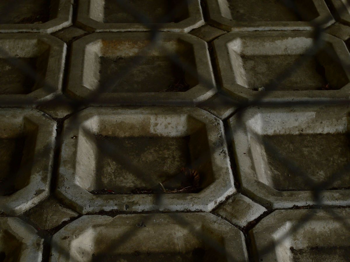 slope of blocks behind the fence | GANREF