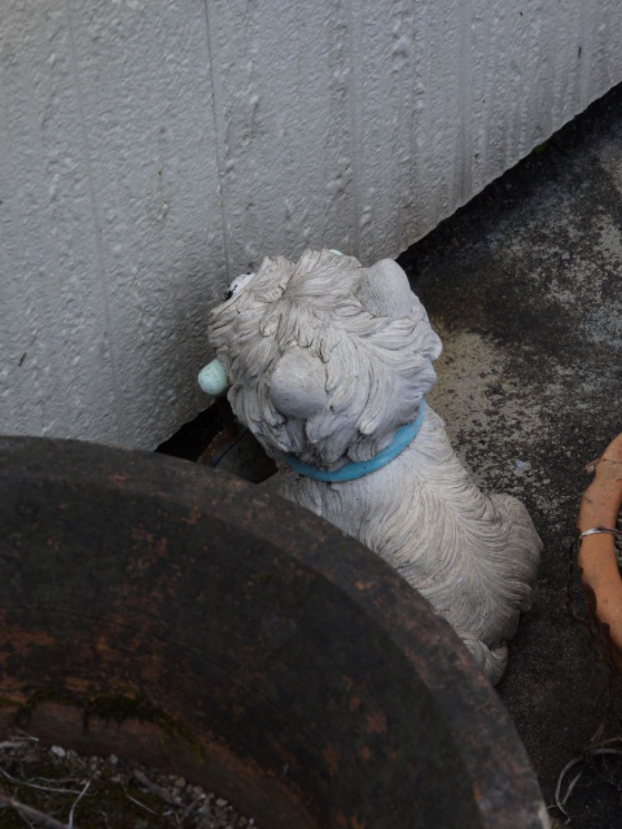 role end / end roll | GANREF