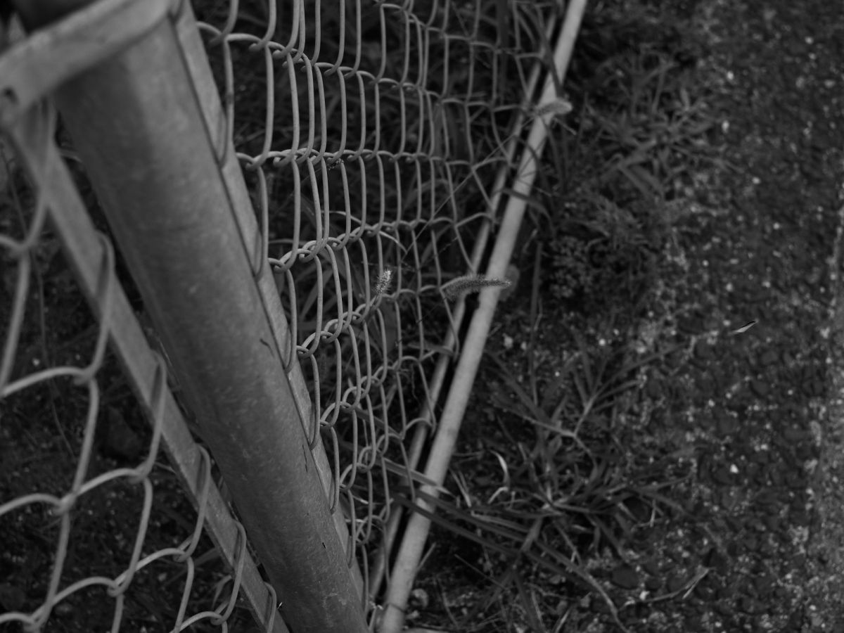 chain-linked fence (high angle view) | GANREF